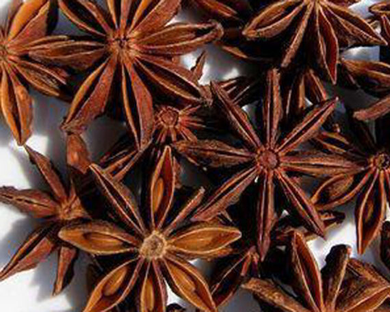 Bunga Lawang – Sehati Jaya Sejahtera – Aneka Bumbu Dapur Pilihan